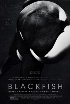 Blackfish (2013)